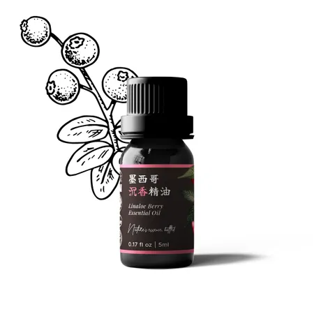 墨西哥沉香精油 Linaloe Berry Essential Oil (India) -5ml 9241779 - friDay購物